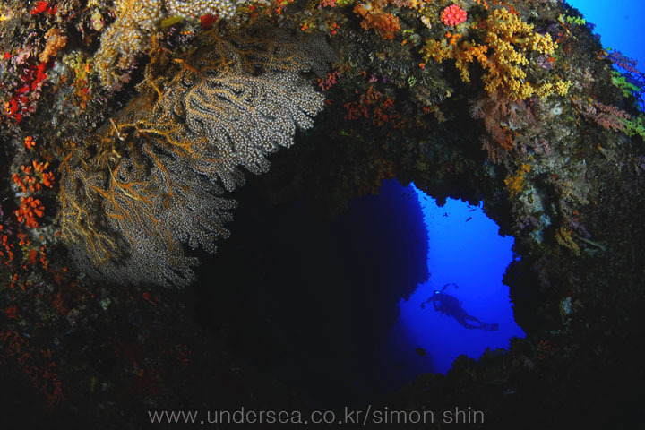 UW Pescador Island, Moal Boal, Philippines