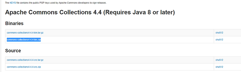 JSP - [ Connection Pool (DBCP) ] — 라둥이