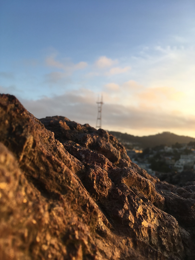 샌프란시스코 뷰포인트, Twin Peaks? 놉! 색다른 뷰포인트! Corona Heights &Ina Coolbrith Park