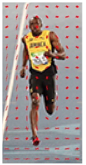 Learning Spatiotemporal Features with 3D Convolutional Networks