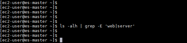ls -alh | grep -E 'web|server' :: 블로그 소개