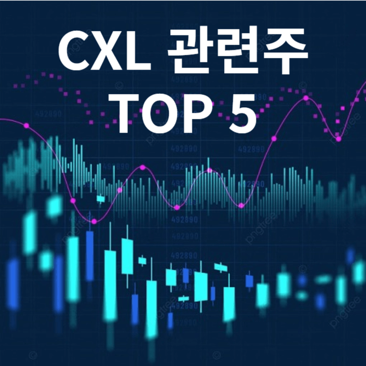 CXL 관련주 TOP 5 | 대장주 수혜주 특징주 - 용용로그