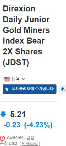 JDST ETF 자세히 알아보기
