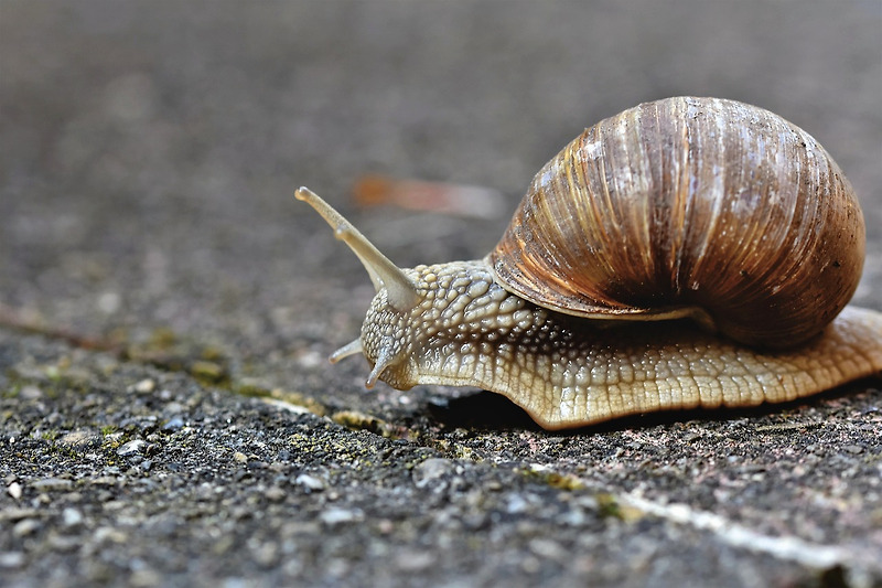 지극히 거룩하신 삼위일체 대축일 J3,16-18