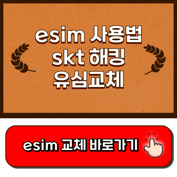 esim 사용법, skt 해킹 유심교체 가장 믿을 수 있는 조치