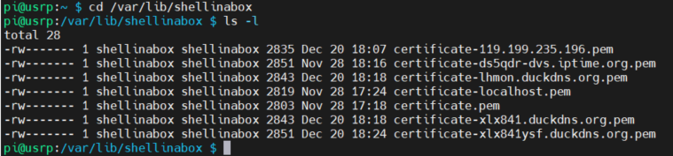 Digital Voice 통신하는 DS5QDR :: 2023-02-23 DV NW : Shell in a Box : 원격 Linux 서버 웹 기반 SSH 터미널