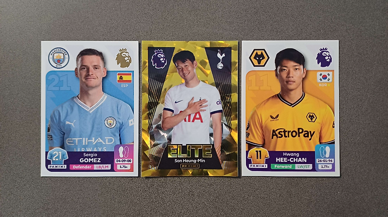 Episode 84. 2024 EPL 파니니카드 무료교환 진행기 - 24차 교환편 Feat. 세르히오 고메스