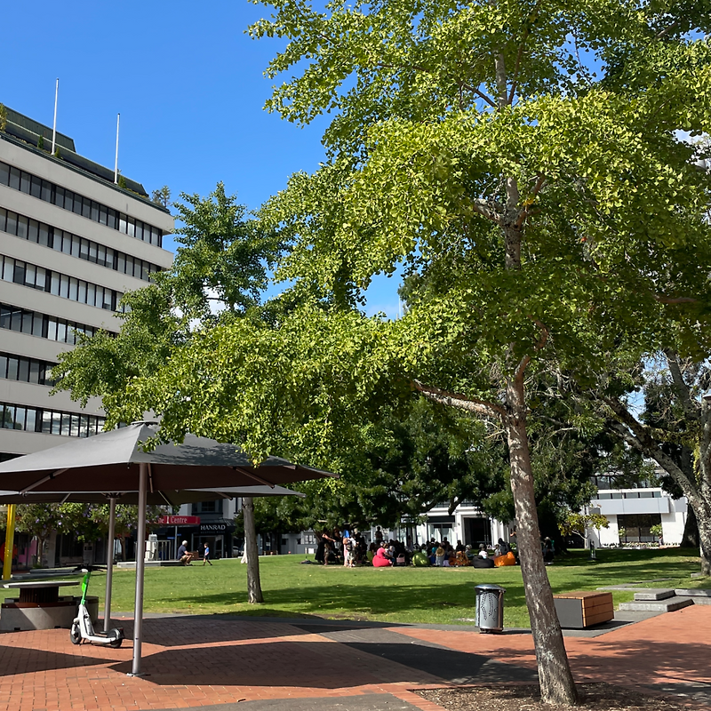 뉴질랜드 북섬여행 2025 - 해밀턴 Hamilton, 래글란 Raglan, Raglan beach