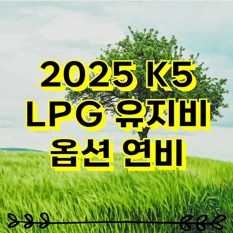 2025 K5 LPG 유지비 옵션 연비