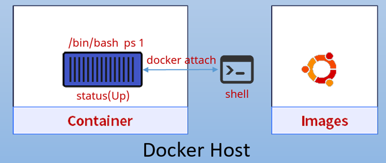 Docker exec와 attach의 차이 (docker run) - Go, Vantage point