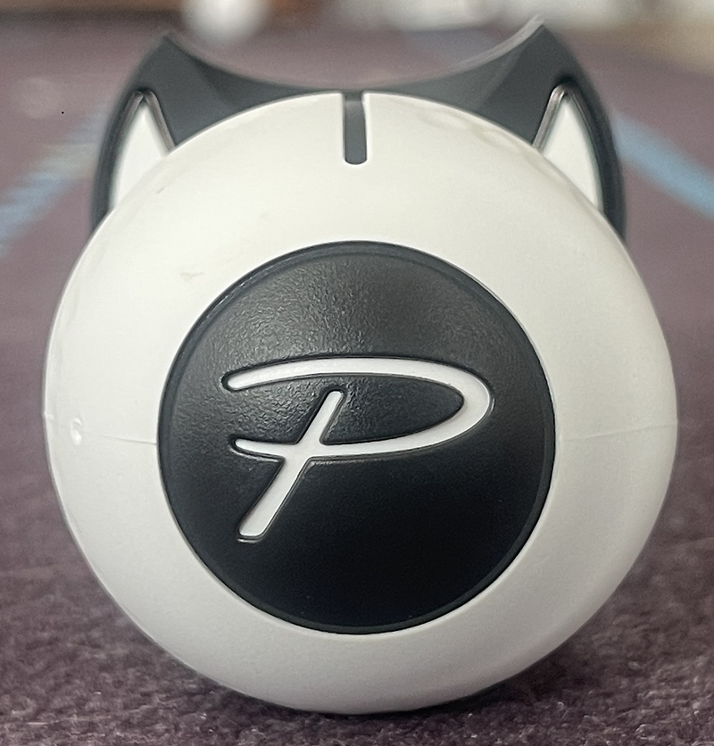 PuttOut Devil Ball | 내돈내산 리뷰