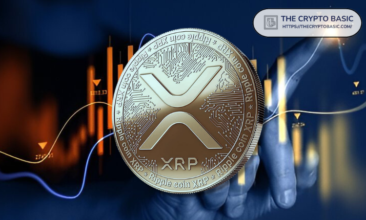 Valhil Capital 창립자, SEC로부터 보유자에게 5000억 달러의 XRP 환급 추진