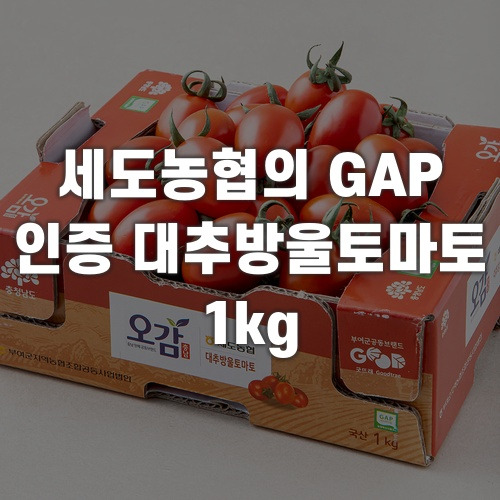 세도농협의 GAP 인증 대추방울토마토 1kg 박스, 최상의 품질을 담다