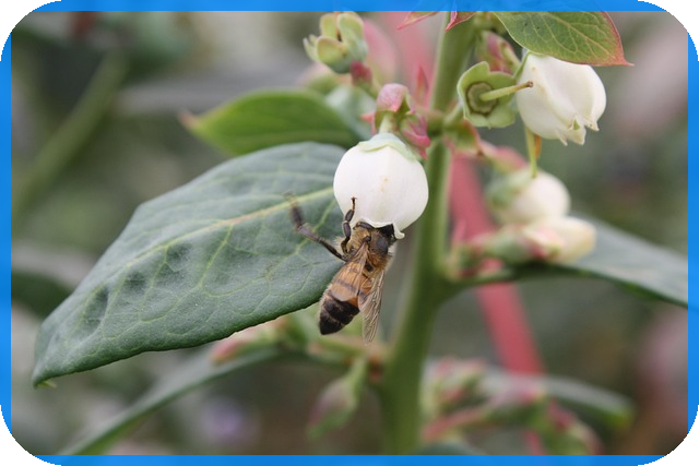 TMDB API 활용법으로 Vue 프로젝트 시작하기