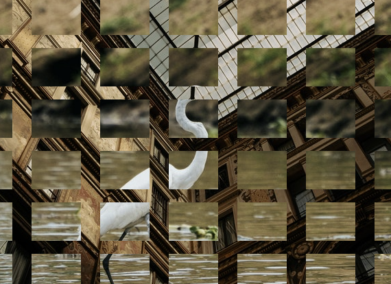 Canvas Image Reveal Effect