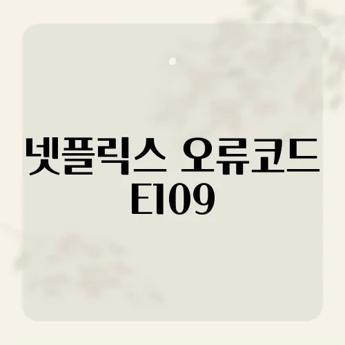 넷플릭스 오류코드 E109, 1초 복구법?