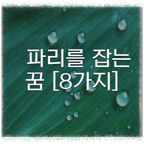 파리를 잡는꿈 [8가지]