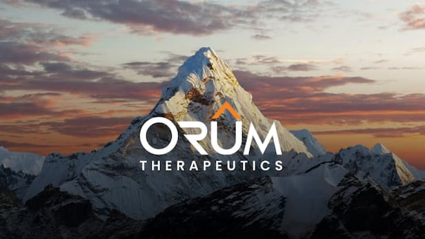 ORM-5029 임상 중단에 따른 오름테라퓨틱스 파이프라인 전략 변화와 기업 분석