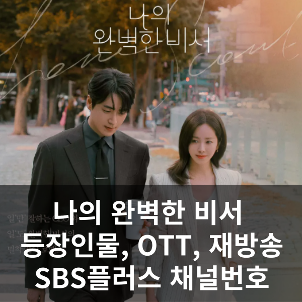 나의 완벽한 비서 등장인물, OTT, 재방송 시간, SBS플러스 채널번호