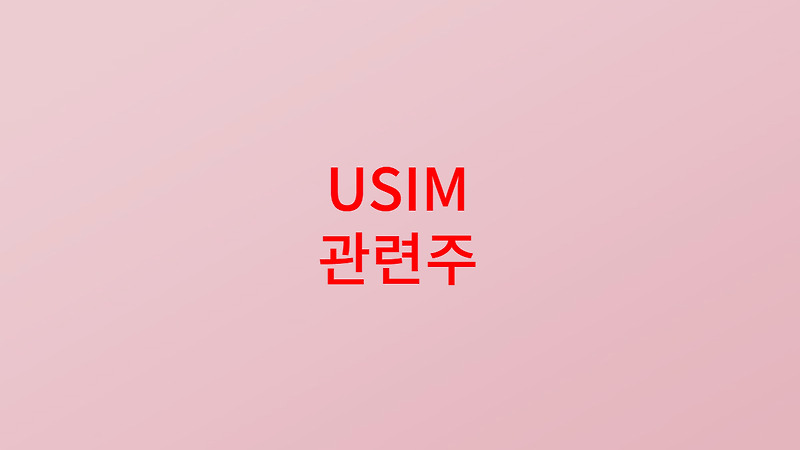 유심 관련주 해킹사고로 SKT USIM 교체 수혜주