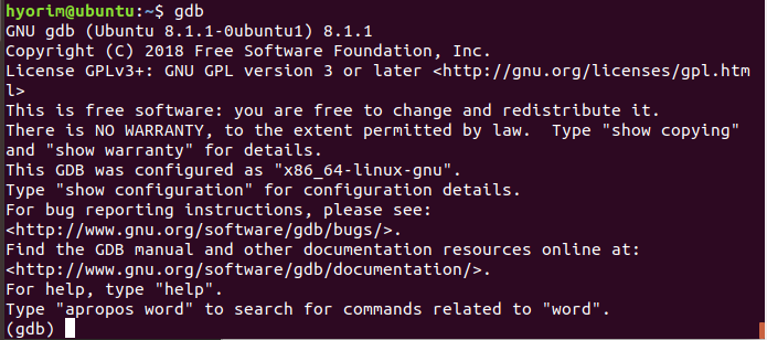 [SWING] Pwnable 01 - gdb, pwntools 설치