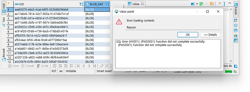 [DB2/AS400] DBeaver에서 LOB 데이터 조회 시 에러 해결법