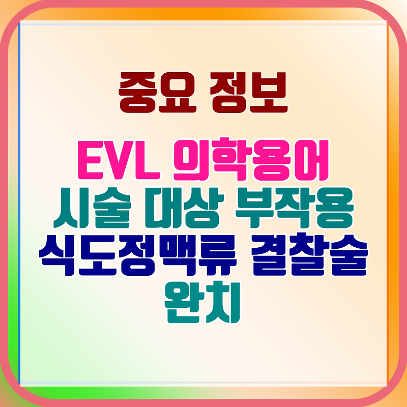 EVL 의학용어 시술 대상 부작용 식도정맥류 결찰술 완치 [챕터]