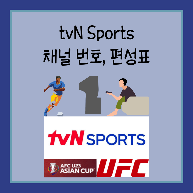 tvn sports 편성표 및 채널번호 (축구 무료 중계)