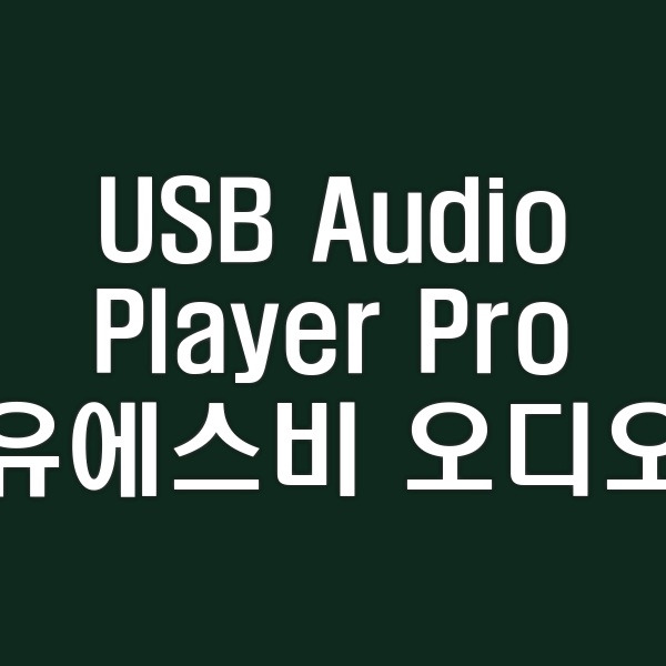 USB Audio Player Pro 유에스비 오디오 플레이어 프로 PC버전 이용 방법 | 앱 설치하기