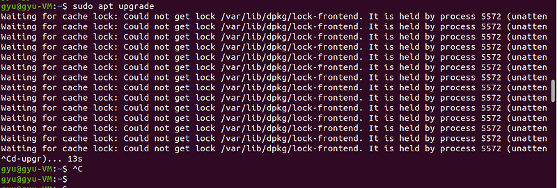 오류 해결 - Waiting for cache lock: Could not get lock /var/lib/dpkg/lock-frontend.