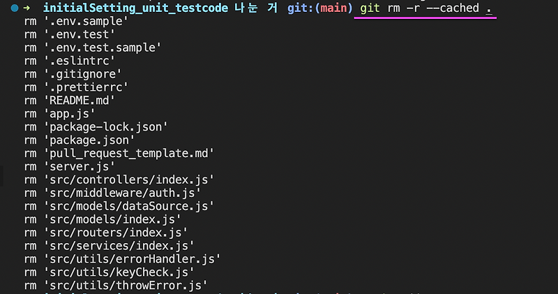 git cache [.gitignore에 있지만 repository에 올라간 파일 없애기]
