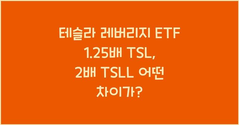 테슬라 레버리지 ETF 1.25배 TSL, 2배 TSLL 어떤 차이가?