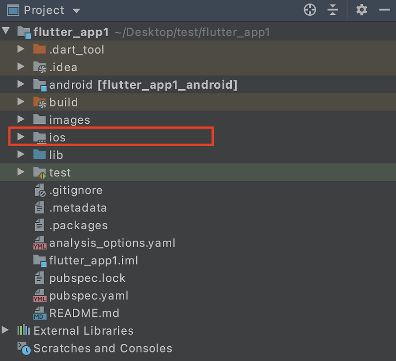 [Flutter]IOS 카메라 권한 가져오기