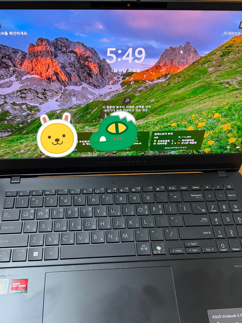 ASUS Vivobook S 15 OLED (M5506) 구매 후기