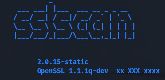 sslscan - 암호화 통신 여부 확인 도구