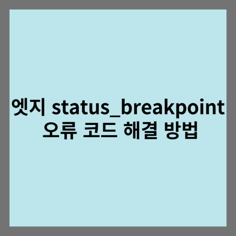 STATUS_BREAKPOINT 엣지 오류 조치 사항