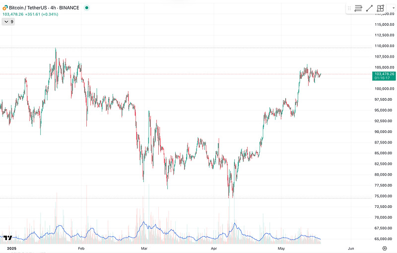 BTC 단기간 조정 예상