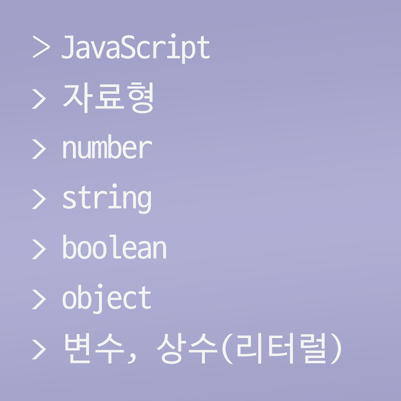 Javascript 자료형 변수 상수리터럴 — Bible Lee Data 