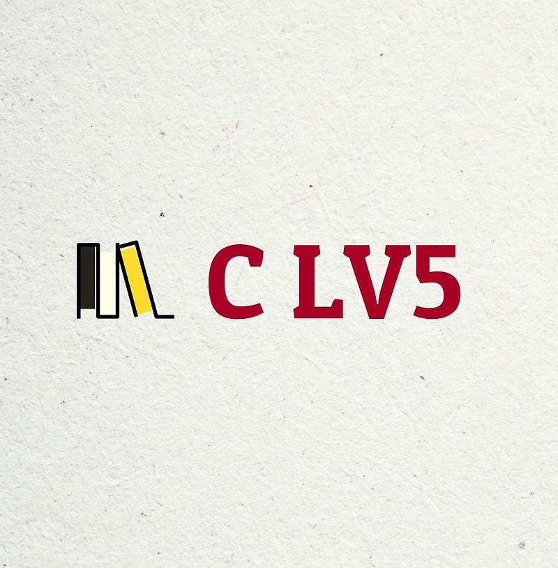 C언어 Level 5