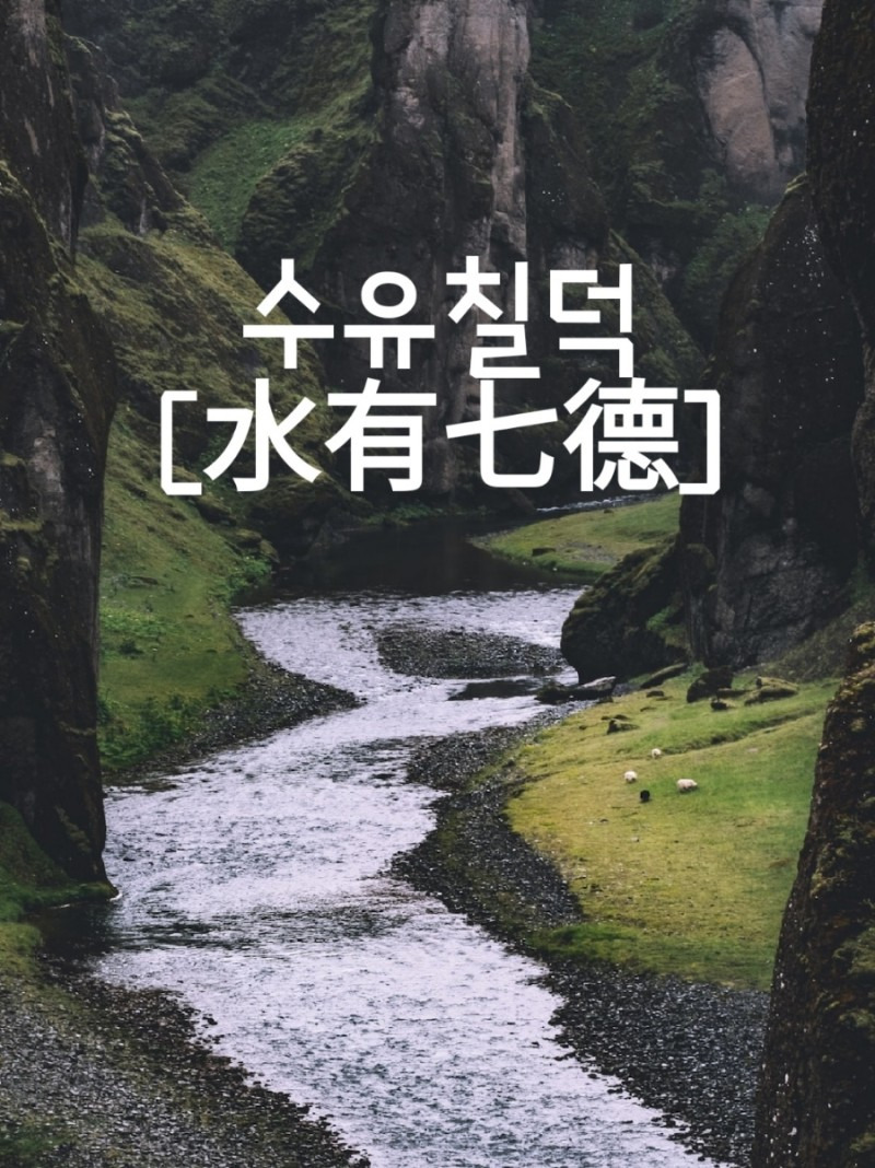 겸손의 향기 수유칠덕 그리고 상선약수