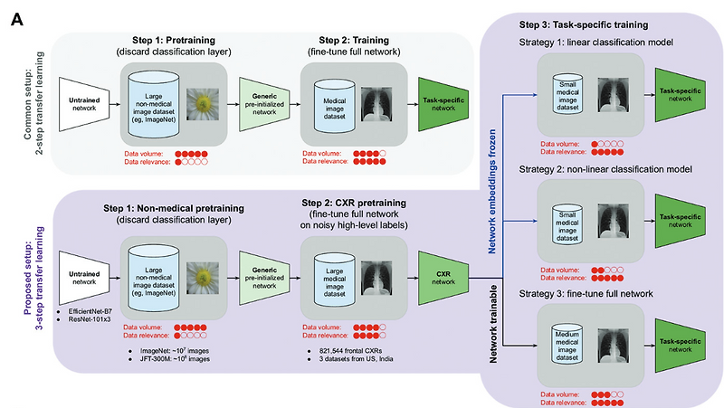 [논문 리뷰] Simplified Transfer Learning for Chest Radiography Models Using ...