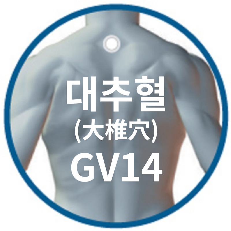 대추혈(大椎穴) , GV14 [X39 붙이는 위치]