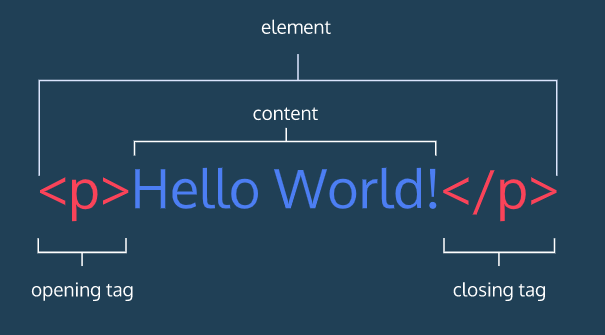 Introduction to HTML 1 — HoLoLo