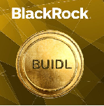 RWA 코인과 블랙록(BlackRock)의 진출: 토큰화된 채권 펀드 (BUIDL Fund)