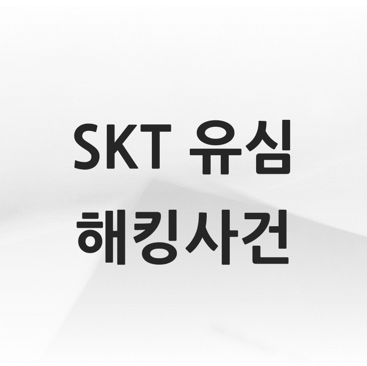 SKT 유심(USIM) 해킹 이렇게 대응하세요.