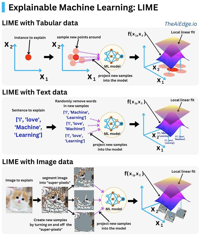 Explainable Machine Learning:LIME