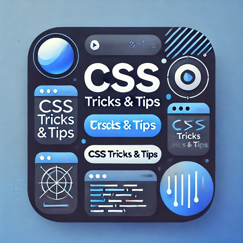 CSS - Type 선택자 사용 :: 열공의 기록