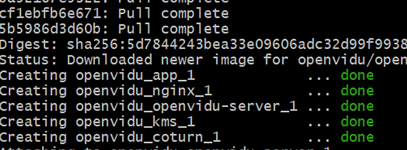 ⭐openvidu의 nginx를 사용하여 reverse proxy 설정하기