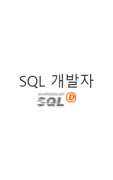[Road to SQLD] - #1 개발자는 자격증보단 실력이지!