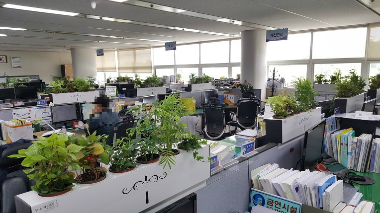 광주광역시청 관공서 사무실화분 파티션화분 설치 사무실책상화분